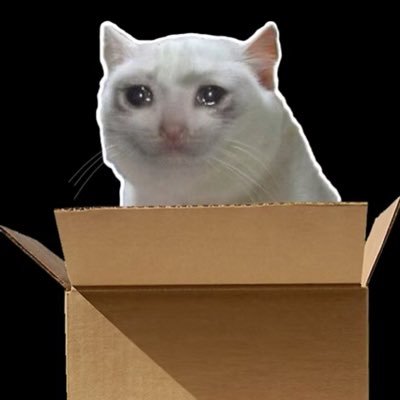 MAYBE Schrodinger's Coin Price Today, Live Coin Chart & USD/USDT Rates ...