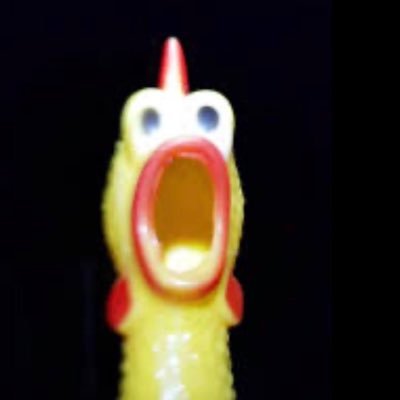 Giá SRC Screaming Rubber Chicken Hôm Nay, Biểu Đồ Coin Trực Tiếp & Tỷ ...