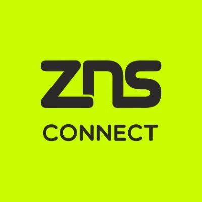 ZNS Connect ZNT Project Profile & Token Activities | DropsTab
